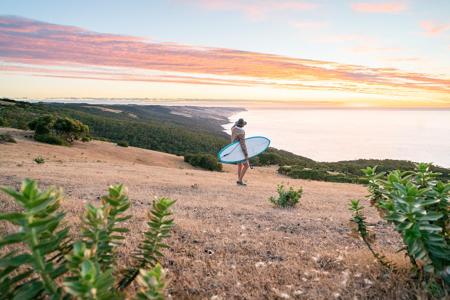 Modern Surfboards – Global Surf Industries - EU